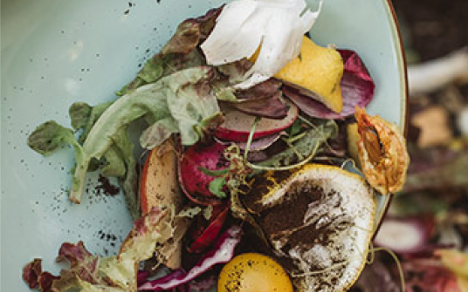 Grants for zero waste champions | Waste Nothing